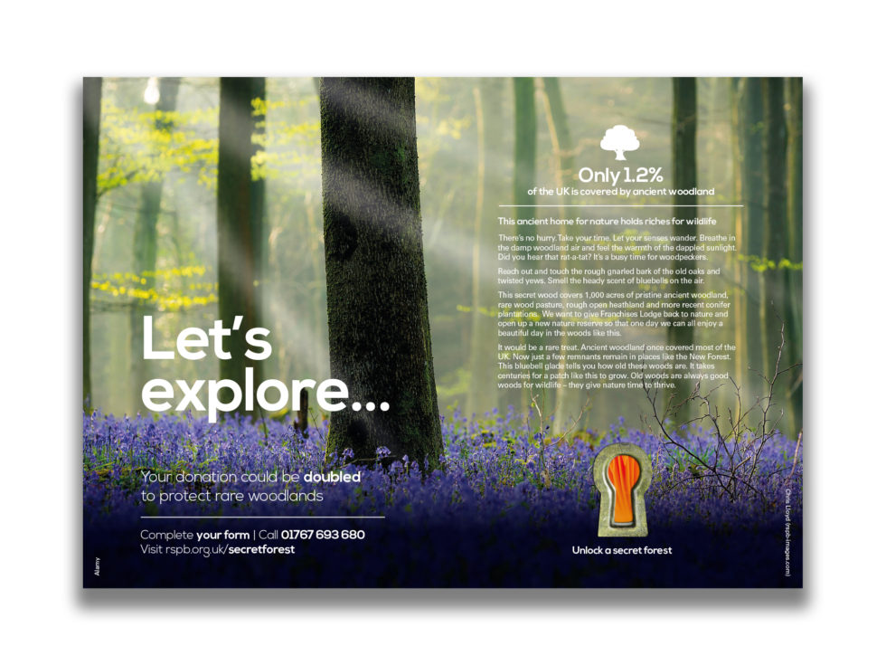 RSPB - Integrated direct and digital appeal - Cherry Tiger
